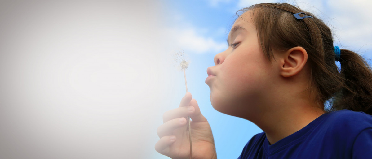 Why Blitzit Plan Manager